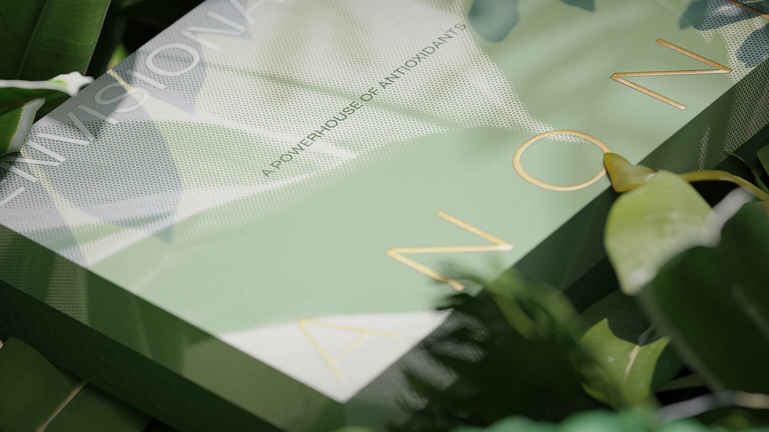 Anoni – Envisionary Life 宜莱福